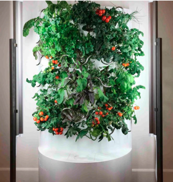 Our favorite "home size" grow wall - Very Local Greens